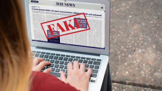 Digital disinformation: Policing online propaganda - NOTIONES